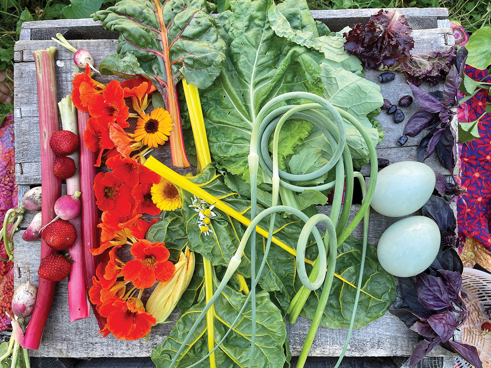 Old Solutions for New Problems – Mother Earth News